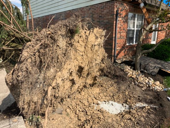 FORUM FORENSICS- Straight-Line Wind Damage